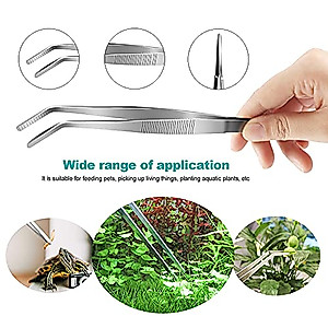 Reptile Feeding Bowl, 4pcs Leaf Reptile Water Food Feeder Bowl Worm Dish, Reptile Feeding Tongs Long Tweezers Cricket Clamp Bug Scooper Feeder Tool for Tortoise Snake Lizard Gecko Bearded Dragon
