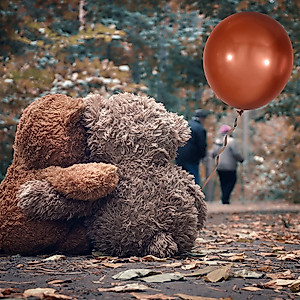 100 Pieces Latex Balloons Different Sizes 18/12/10/5 Inch Party Balloon Kit for Valentines Birthday Baby Shower Wedding Bride Graduation Party Decoration (Retro Coffee)