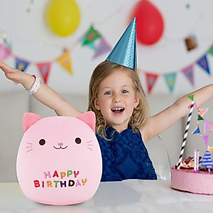 9.8 inch Cat Plush Birthday Plush Pillow, Pink Cute Cat Birthday Plush Toy, Birthday Party Decoration Birthday Gift for Kids (Pink Cat)