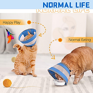 GoGoPaw Cat Cone, Breathable Cat Cone Collar Soft, Adjustable Cat Cone to Stop Licking, Water Resistant Neck Cone for Cats with Air Mesh, Protective Cat Recovery E Collar for Cat Kitten（Blue,S-2
