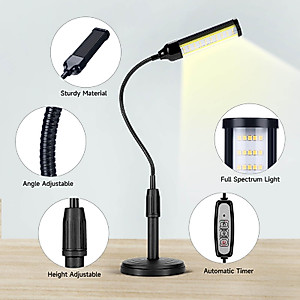 CHANGSHENG Grow Lights for Indoor Plants Desk LED Grow Light with Base Full Spectrum 50 LEDs Warm White for Indoor Plant Growing Lamp, Adjustable Gooseneck, Suitable Plants Growth (Without USB Plug)