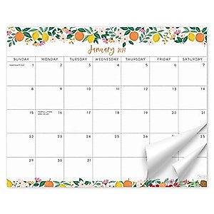 S&O Fruity Magnetic 2023 Fridge Calendar from July 2022-Dec 2023 - Tear-Off Refrigerator Calendar to Track Events & Appointments - 18 Month Magnetic Calendar for Fridge for Easy Planning - 8"x10" in.
