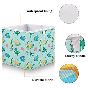 Qilmy Sea Life Fish Rectangle Storage Bin Large Foldable Storage Basket for Shelves, Closets, Laundry, Nursery, Home Decor, 15.8 x 10.6 x 7 Inch