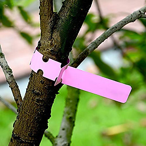 Mziart 200Pcs Plastic Plant Labels Wrap Around Tree Tags, Adjustable Nursery Garden Labels Plant Tags with Large Writing Surface, White