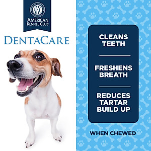 American Kennel Club Dentacare Mint Dog Treats, Good for Dog Dental Health, for Large Dog Breeds, 13 Count