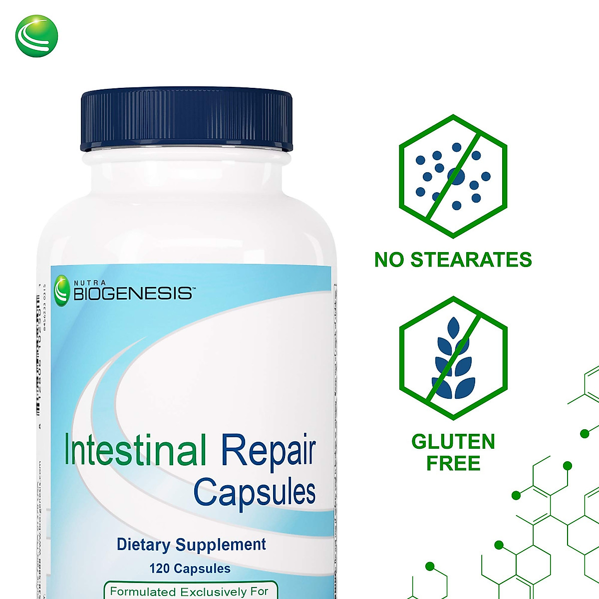 Nutra Biogenesis Intestinal Repair Capsules - Herbal Gut Health Supplement for Women & Men with Sodium Butyrate, Daily - 120 Capsules