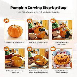 11 PCS Pumpkin Carving Kit for Adults & Kids with Professional Detail Sculpting Tools, Heavy Duty Stainless Steel Knife Set with Carrying Case for Halloween Decoration