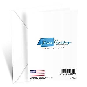 Aunt Birthday Card | Made in America | Eco-Friendly | Thick Card Stock with Premium Envelope 5in x 7.75in | Packaged in Protective Mailer | Prime Greetings (Bird House)