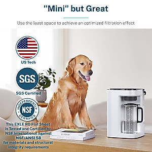 Bluevua RO100ROPOT-LITE Countertop Reverse Osmosis Water Filter System, 5 Stage Purification, 3:1 Pure to Drain, Portable Water Purifier (No Installation Required) (White)