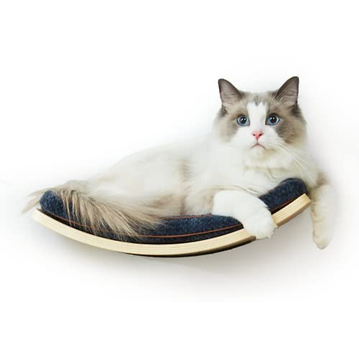 LIORCE Cat Shelf with Comfortable Cat Cushion - Curved Cat Shelves and Perches for Wall (Medium Size) - Wall Mounted Cat Furniture for Sleeping, Playing, Climbing, and Lounging
