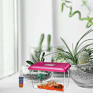 Needzo Hermit Crab Misting Spray Bottle for Cages and Terrariums, Water Bottles for Crabs, Reptiles, and Amphibians, First Pet Starter Kit, Pack of 3, 6.5 Inches