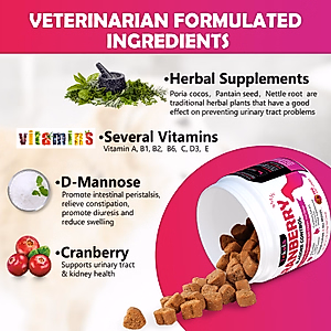 Cranberry Bladder Health for Dogs - Dog Antioxidant- 160 Cranberry Soft Chew Supplements for a Healthy Urinary Tract and Bladder Control – Made with Cranberry & D-Mannose & Vitamins (Chicken Flavor)