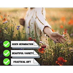 Camas- Pollinator Wildflower Seed Packets - (20) Party Favors to Attract Bees, Butterflies, and Hummingbirds to Your Plant and Flower Garden-Annual Wildflower Mix