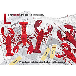 B is for Boston (Alphabet Cities)