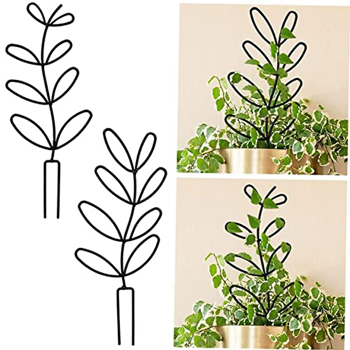 YARNOW 6 Pcs Plant Climbing Frame Indoor Decor Houseplants Live Indoor Green Roses Trellises for Plants Plant Cages Vine Plant Trellis Indoor Plant Trellis Plant Climbing Stand Iron Black