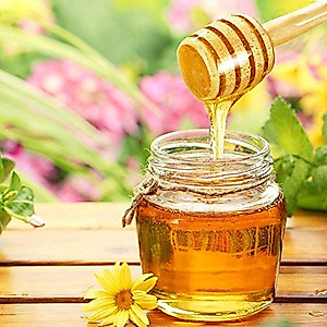 Creative Hobbies® 24 Pack of Mini 3 Inch Wood Honey Dipper Sticks, Server for Honey Jar Dispense Drizzle Honey, Wedding Party Favors