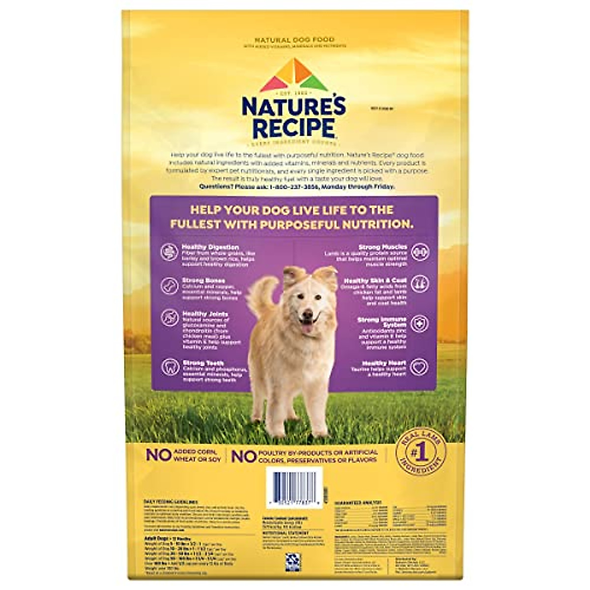 Nature’s Recipe Original Dry Dog Food for Adult Dogs, Lamb & Rice Recipe, 24 lb Bag