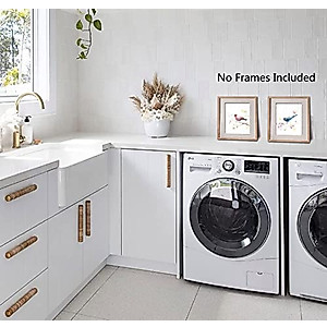 HONGRUIFAN Hummingbird Wall Art Canvas Flower Pictures Watercolor Artwork Prints Painting 8x10 inch Set of 6 Unframed for Kitchen