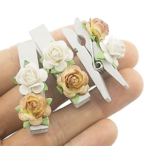 Summer-Ray 50 Handmade Mulberry Flower Decorated Mini White Wooden Clothespin Wedding Favors Decoration (White-Brown)