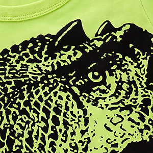 IjnUhb Toddler Boy clothes Cartoon Cotton Summer Short Sleeve T-Shirt and Shorts Kids Outfit Set (Green Dinosaur 4T