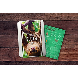 Gift Republic Sloth Adopt It, One Size, Multicolor