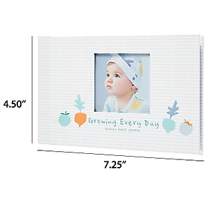 Carter's BP73-24958 Growing Every Day Baby Brag Book Photo Album, 20 Pages and 7.15" x 4.5", Multicolor
