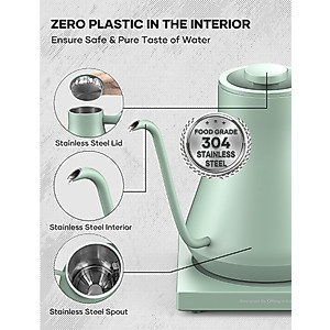 Electric Kettle, Offacy Gooseneck Kettle with 6.8mm Fine V-Shaped Spout, Auto Shut-Off & Boil Dry Protection, BPA Free, 1200 Watt Quick Heating, 0.9L, Light Green