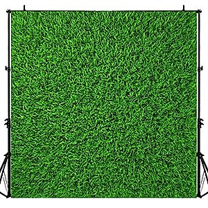 Nature Green Grass Backdrops for Photography 6x6FT Spring Realistic Grass Lawn Backgrounds for Baby Shower Birthday Party Photoshoot LUCKBTY LUZZ440