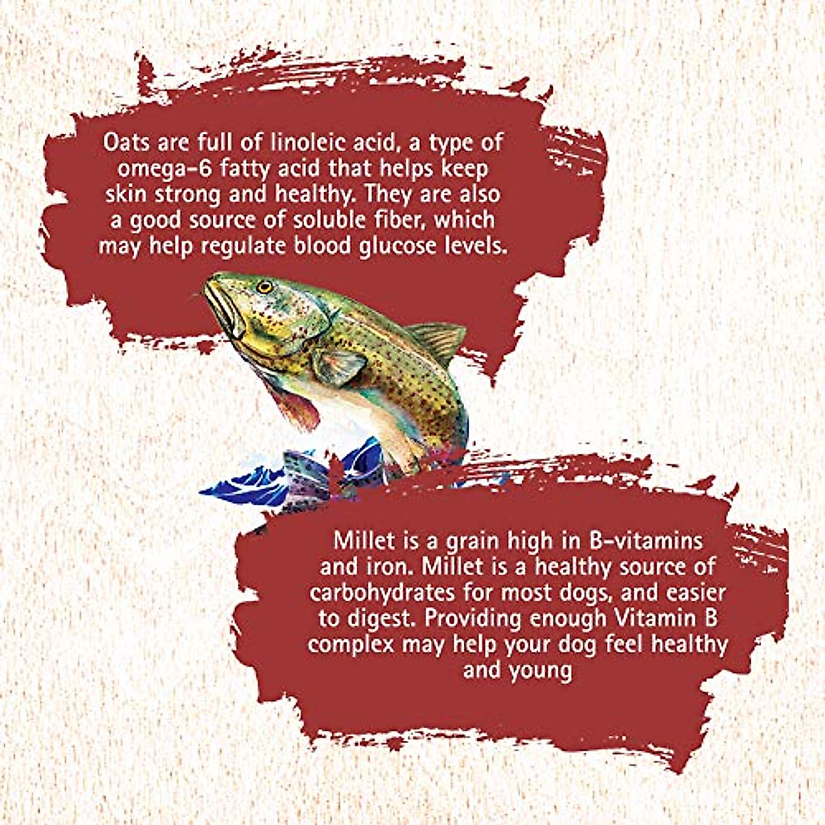 Inception® Dry Dog Food Fish Recipe – Complete and Balanced Dog Food – Meat First Legume Free Dry Dog Food – 27 lb. Bag