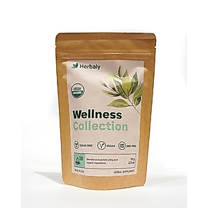Herbaly Wellness Collection Organic Herbal Ginger Tea, 70 g, 28 Count Bag (Pack of 1)