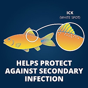 Tetra Ick Guard 8 Count, Quick Remedy For Ick In aquariums,Golds & Yellows