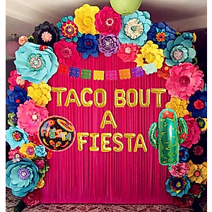 JeVenis Set of 10 Taco Bout a Fiesta Balloons Taco Bout a Party Decoration Fiesta Banner Cactus Baby Shower Decor Fiesta Baby Shower Decorations