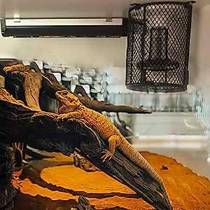 MODUODUO Reptile Lampshade Anti-Scald Heating Lamp Guard 100W 100W Ceramic Lamp & Heater Guard for L Lizards Spider Scorpion Protection