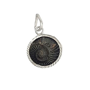 numeroastro Shaligram Pendant | Chakra Pendant | Natural & Original Shaligram Pendant For Men & Women (1 Pc), Standard, Stone, No Gemstone