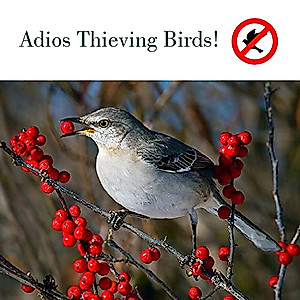 DALEN Holographic Scare Reflective Tape – Bird Deterrent Tape with Metallic Noise Feature, Broad Application and Easy to Use Bird Scare Ribbon (3/4" x 100') - 1 Roll