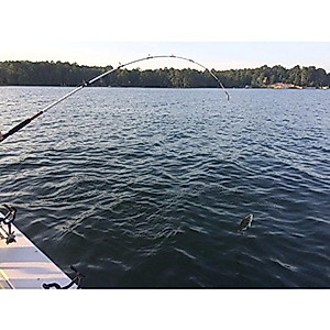 Shakespeare Ugly Stik 8’ Catfish Spinning Rod, Two Piece Catfish Rod, 15-30lb Line Rating, Medium Heavy Rod Power, Moderate Fast Action, 1/2-3 oz. Lure Rating