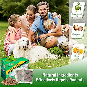 Ultrasir Rodent Repellent, Mouse Repellent 10 Pouches, Peppermint Oil Pest Repellent Granules for Mice Rats Squirrels Ants Spiders, Natural Repel Mouse Deterrent for House,Car,RV,Garage,Cabin,Basement