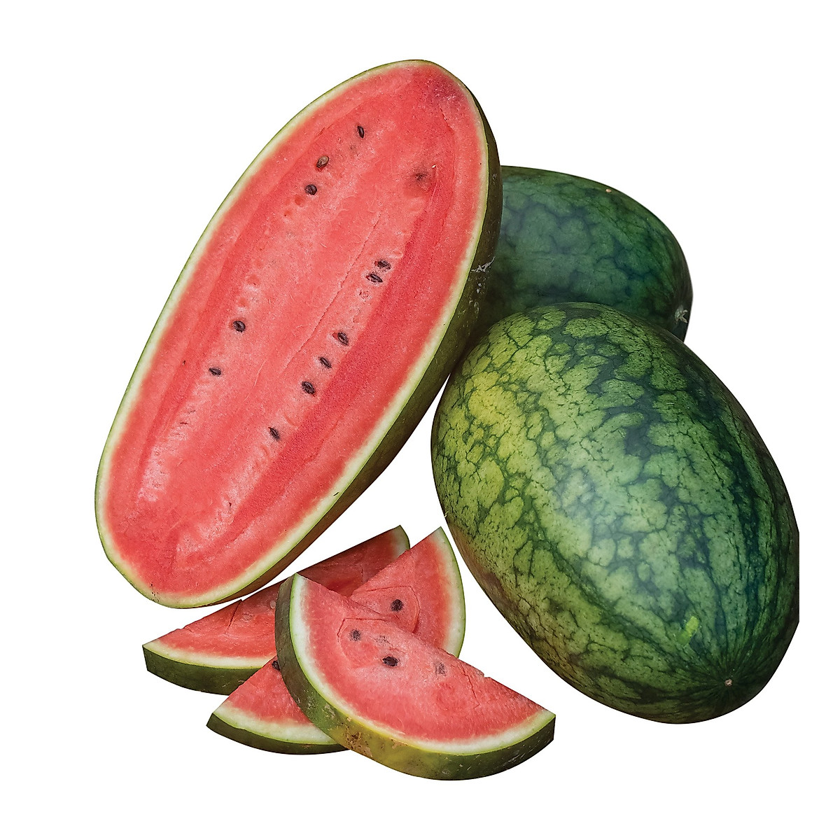Burpee Mama's Girl Watermelon Seeds 25 seeds