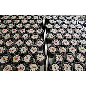 SIX Brewing Bags Plus TWO Large Portion Cup with 33% MORE EACH Live Florida Sun Kefir Natural Water Kefir Grains