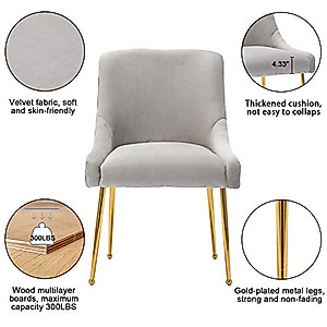 Wahson Velvet Upholstered Dining Chair with Brass Legs, Modern Accent Chair for Dining Room/Living Room/Bedroom, Set of 2, Grey