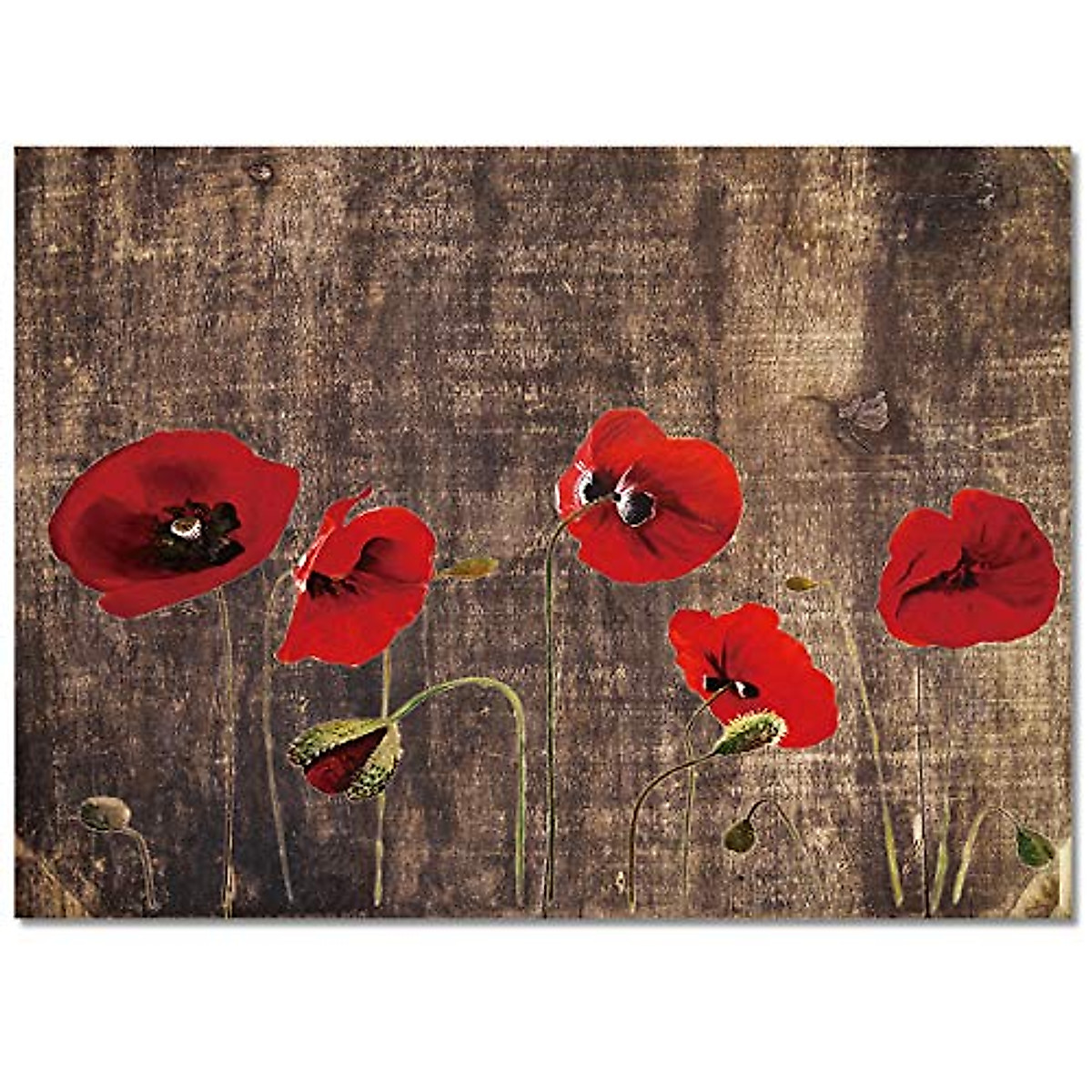 Indoor Area Rugs, Poppy Flower Wooden Background Non-Slip Rubber Backing Rug, Non-Shedding Floor Carpet Washable Throw Rug for Living Room Bedroom Dining Home, 4' x 6'
