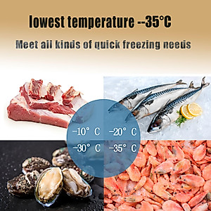 Mvckyi Blast Chiller Commercial Blast Freezer 150L 5 Trays, Blast Chiller Freezer, Gelato Ice Cream Freezer, Stainless Steel Blast Chiller for Baking, Dumplings, Meat, Seafood, Fish, Bread