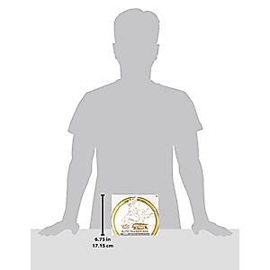 Pokemon TCG: Sword & Shield Brilliant Stars Elite Trainer Box