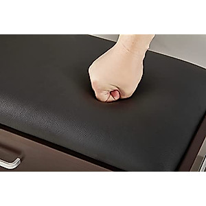 Aottop Premium Shoe Cabinet and Seat - Elegant Design, MDF Wood, and Foam Cushion for Comfortable and Convenient Shoe Storage - Perfect for Your Home Décor.