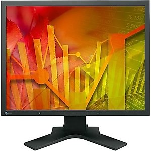 Eizo Flexscan S2133 21.3 Led LCD Monitor - 4:3-6 Ms - Adjustable Display Angle - 1600 X 1200-1