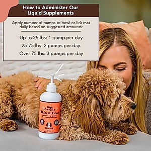 Natural Dog Company Skin & Coat Oil (16 oz.), Supports Skin Health, Fish Oil Supplements for Dogs, Soft and Silky Coat, Salmon Oil & Flaxseed Oil, Fatty Acids, Bottle of Dog Fish Oil with Pump