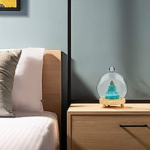 3 Pieces Cloche Glass Dome Glass Cloche Globe Display Dome 3 Sizes Glass Ball Shape Dome Cake Stand with Dome Clear Ball Display Pedestals with Dome Glass Dome Centerpiece for Candle Decor Plant Food