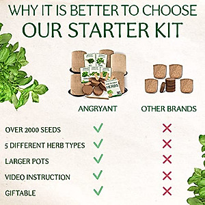 Medicinal Herbs Starter Kit - Non GMO, Heirloom Seeds - Basil, Parsley, Cilantro (Coriander), Oregano, Dill - Includes Pots, Soil, Bamboo Plant Markers - Gardening Gift