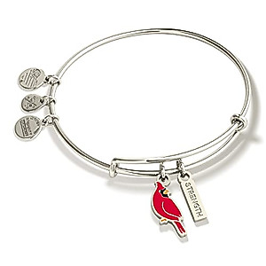 Alex and Ani Symbols and Tokens Expandable Bangle for Women, Cardinal Charm, Shiny Silver Finish, 2 to 3.5 in