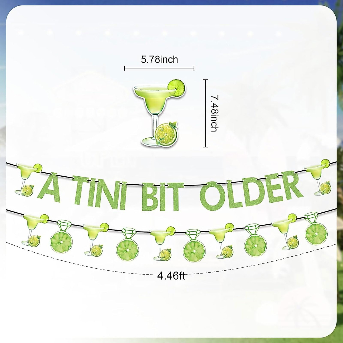 A Tini Bit Older Birthday Decor Banner, a Tiny Bit Older Martini Themed Party Decorations Party Supplies Banners and Tassel Garland